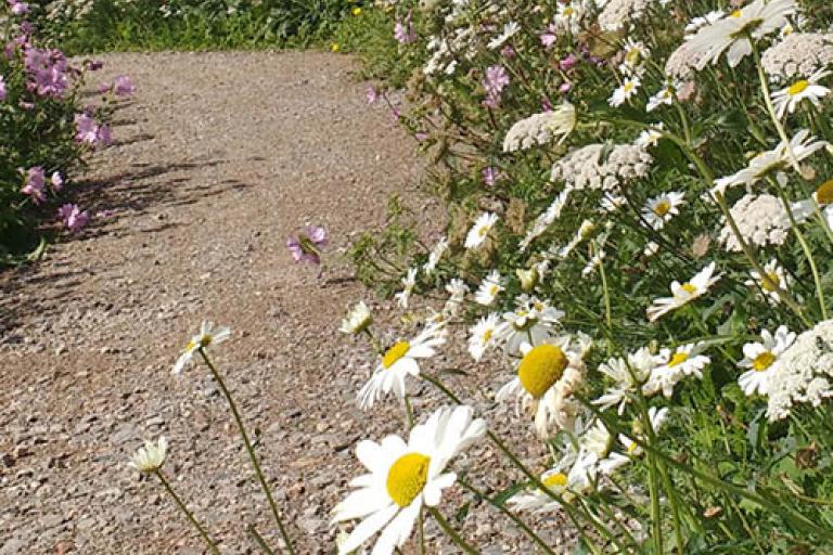 Parks to visit | Bracknell Forest Council