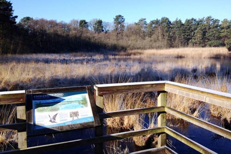Parks to visit | Bracknell Forest Council