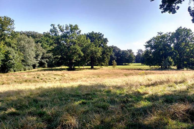 Parks to visit | Bracknell Forest Council