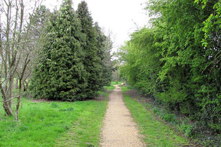 Parks to visit | Bracknell Forest Council