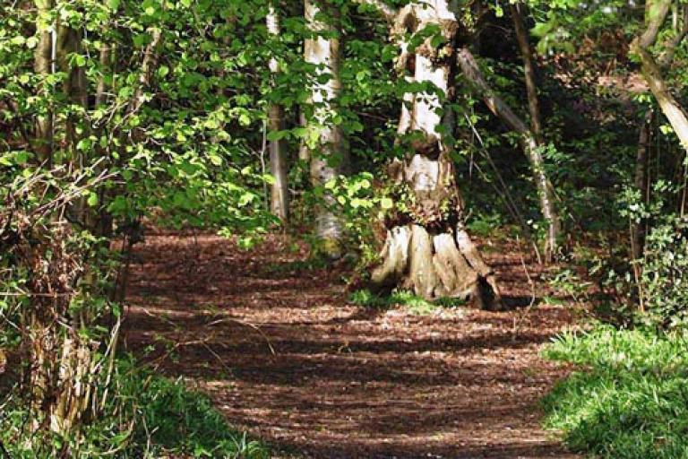 Parks to visit | Bracknell Forest Council