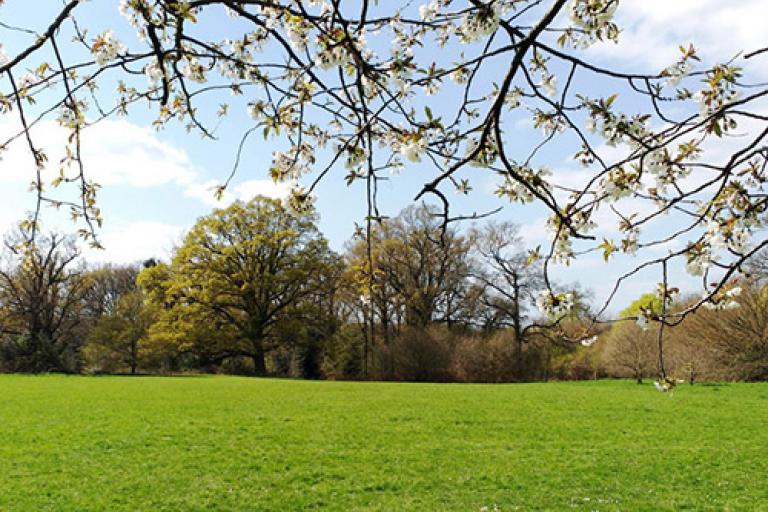 Parks to visit | Bracknell Forest Council