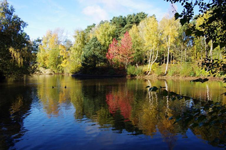 Parks to visit | Bracknell Forest Council