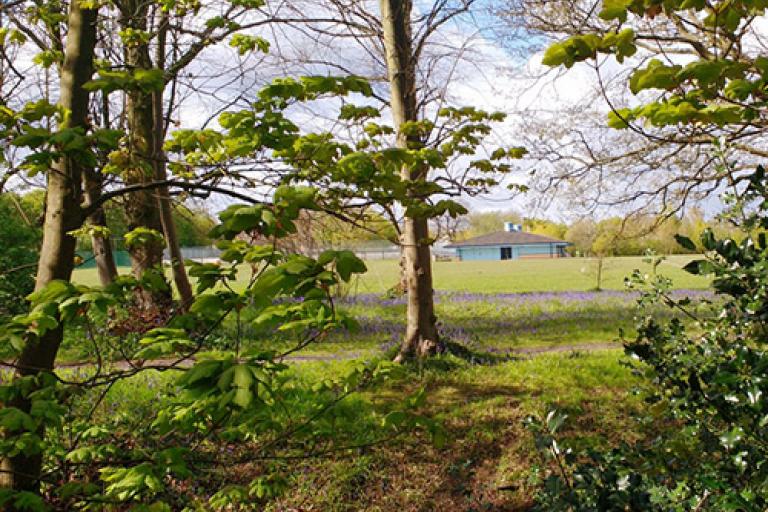 Parks to visit | Bracknell Forest Council