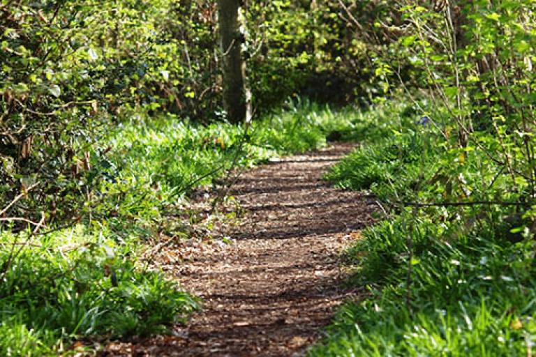 Parks to visit | Bracknell Forest Council