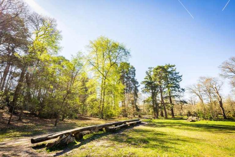 Bracknell Forest Council